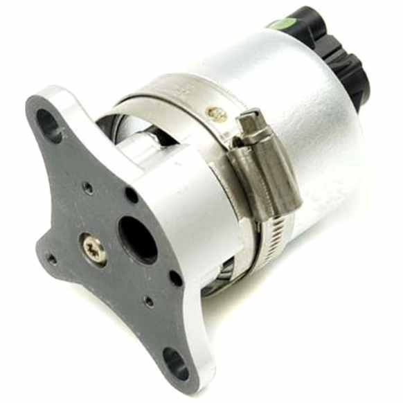 Delphi® EG10025 EGR Valve, 3.8L, 6Cyl