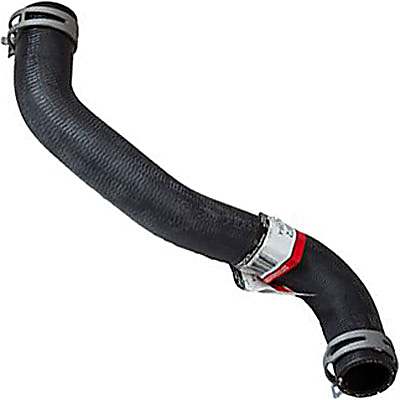 2008 Ford Focus Radiator Hoses from $12 | CarParts.com