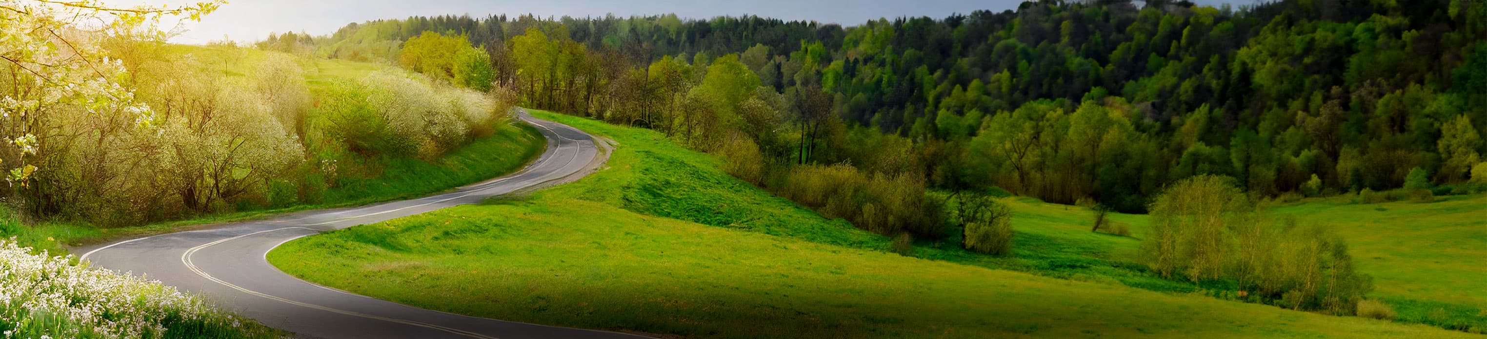 Auto Parts by CarParts.com - Right Parts. Right Now.