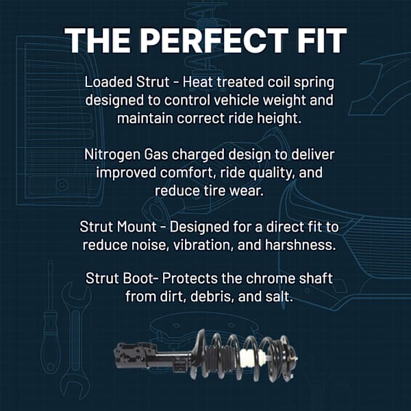 TrueDrive 12-Piece Kit Fully Loaded Strut with Ball Joint, Control Arm ...